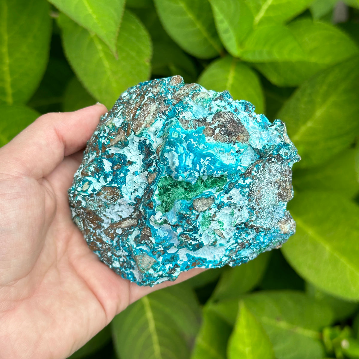 Watery Blue Raw Chrysocolla Specimen with Fibrous Malachite Inclusions ...