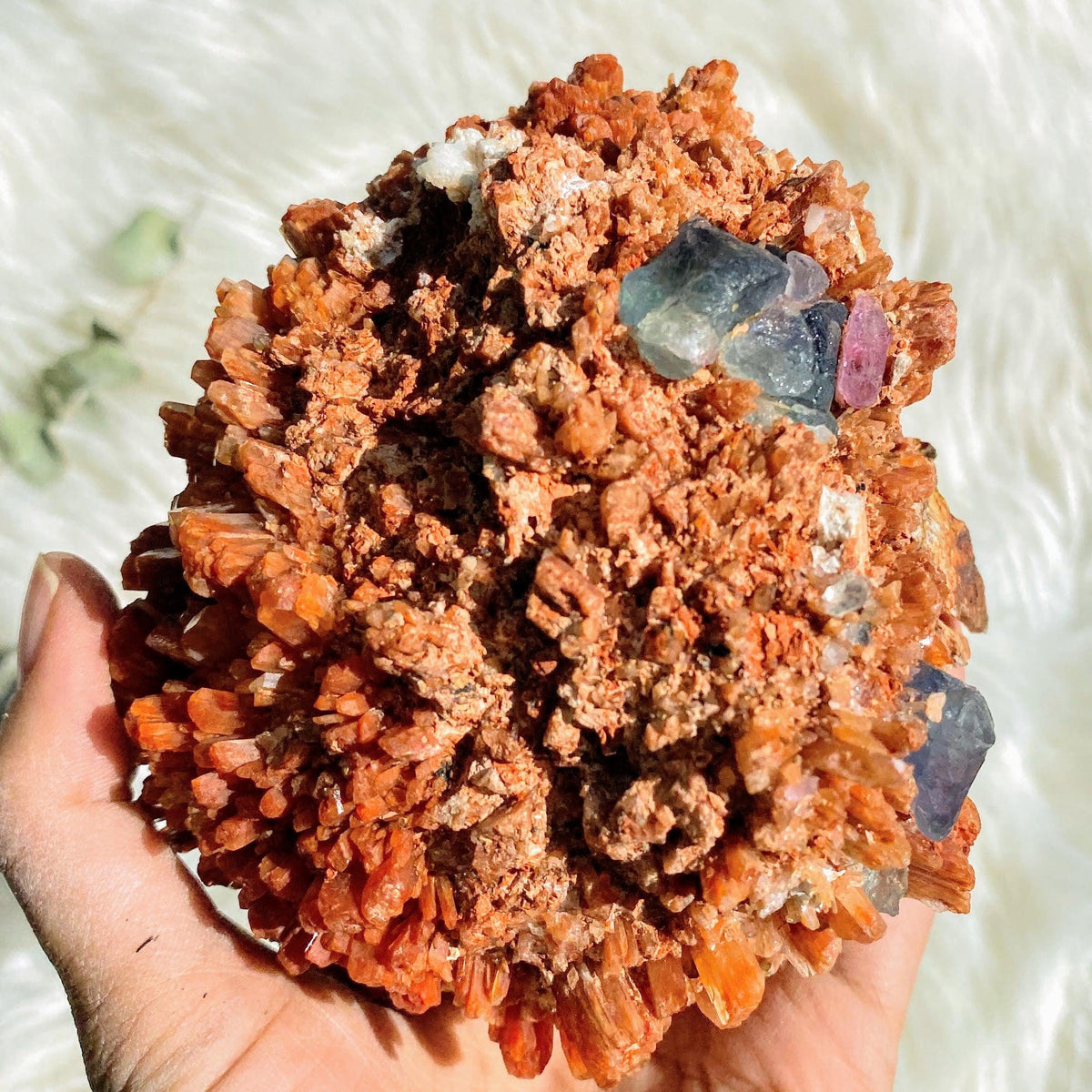 Turquoise Fluorite Inclusions XL Deep Orange Creedite Natural Specimen ...